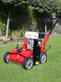 Camon ls42 scarifier for sale store
